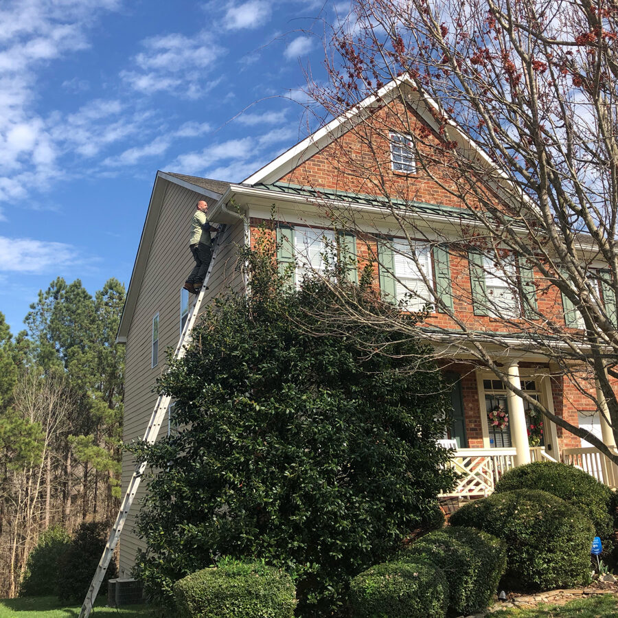 Varmint Gone Matthews | Wildlife Control Services - Varmint Gone