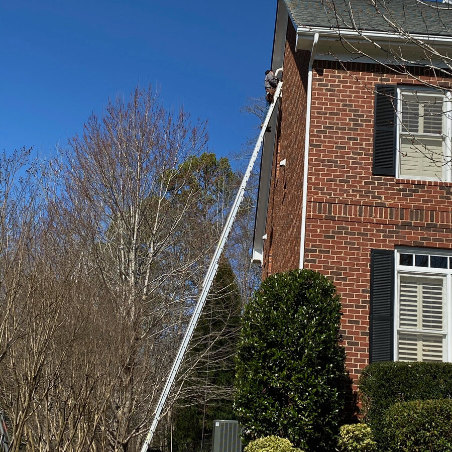 Varmint Gone Matthews | Wildlife Control Services - Varmint Gone