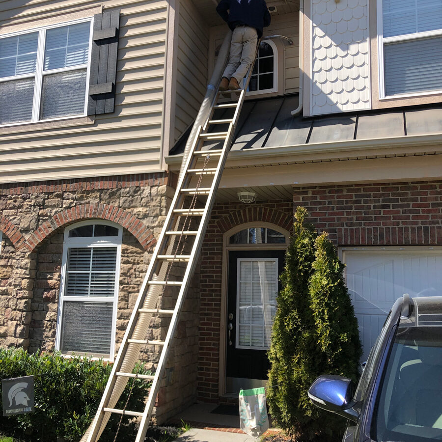 Varmint Gone Matthews | Wildlife Control Services - Varmint Gone