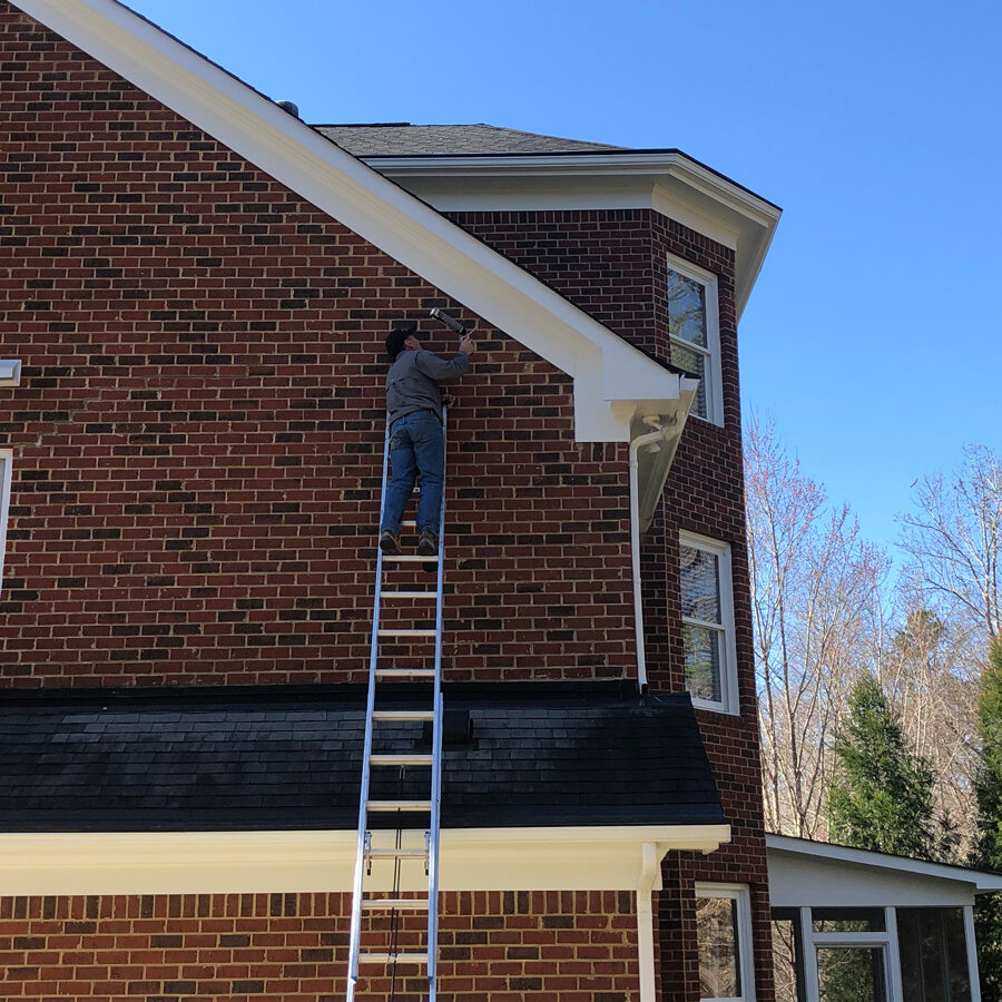 Wildlife Removal & Animal Control Experts | Free Quote | Varmint Gone ...