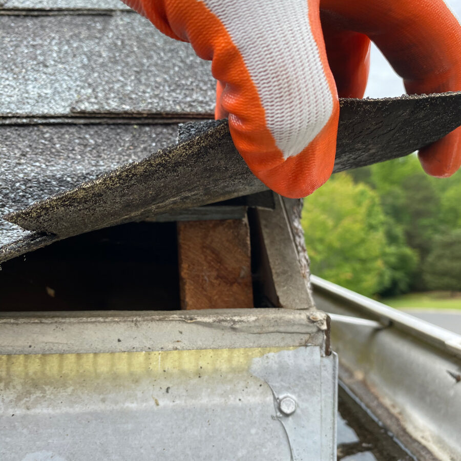 Wildlife Removal & Animal Control Experts | Free Quote | Varmint Gone ...